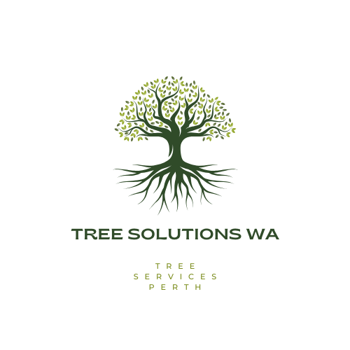 Tree Solutions WA – Tree Services Perth